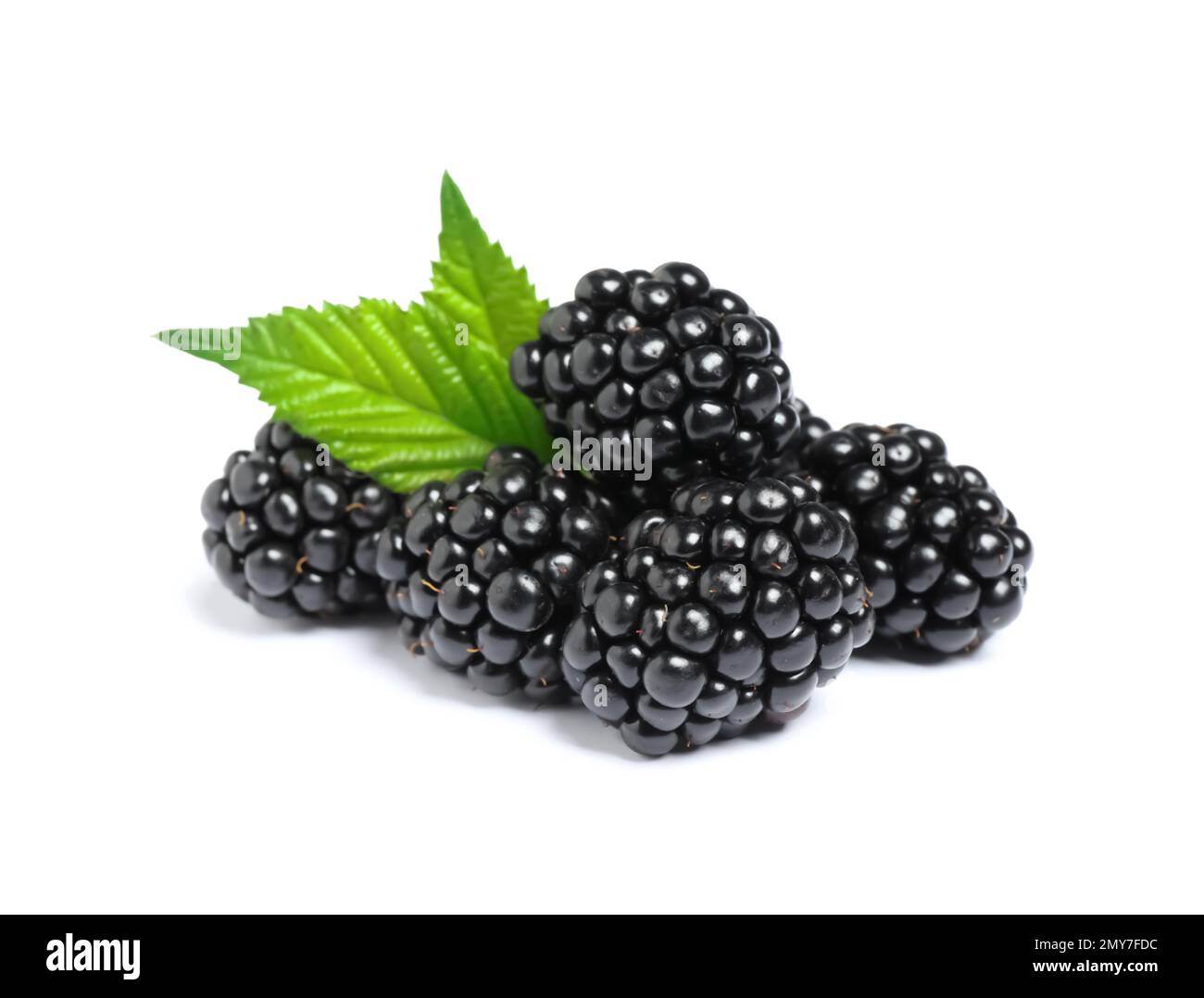 Delicious fresh ripe blackberries with leaves isolated on white Stock ...