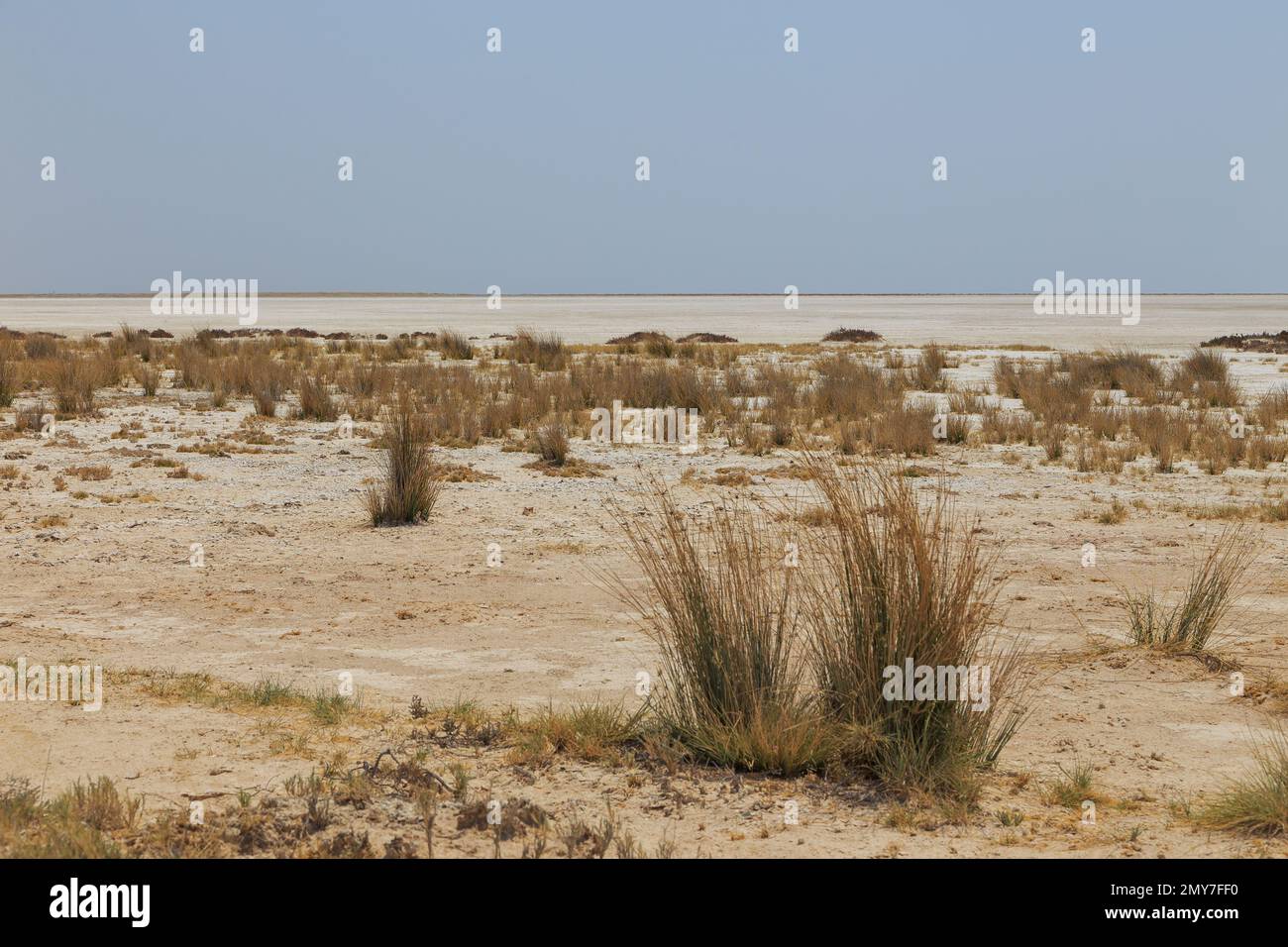 Cuvelai etosha basin hi-res stock photography and images - Alamy