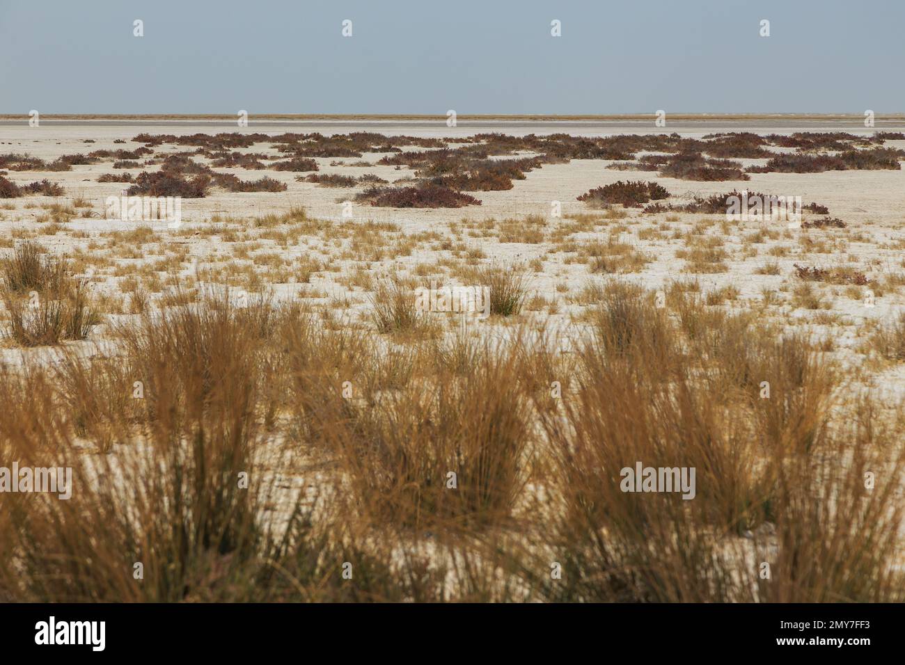 Cuvelai etosha basin hi-res stock photography and images - Alamy
