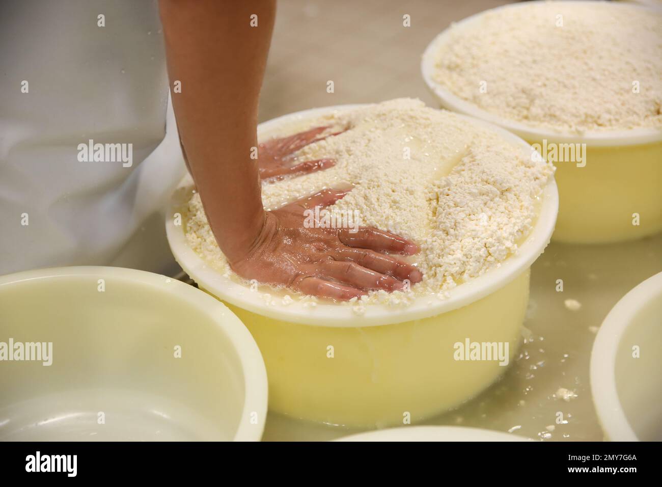 Mould and cheesemaking hi-res stock photography and images - Alamy