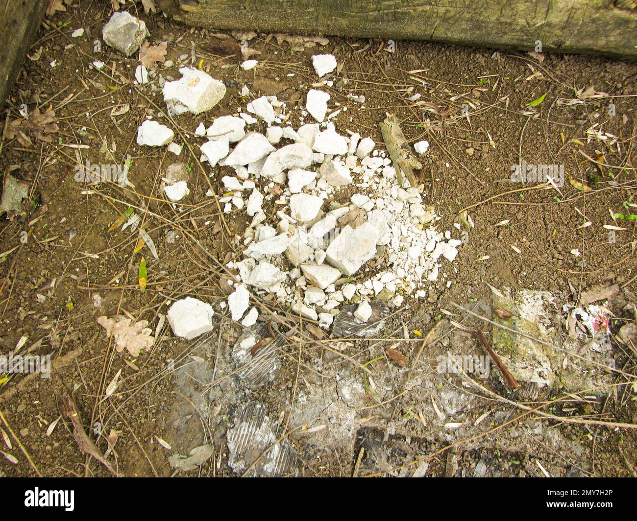 White chalk stones on an earthy path broke out through erosion ...