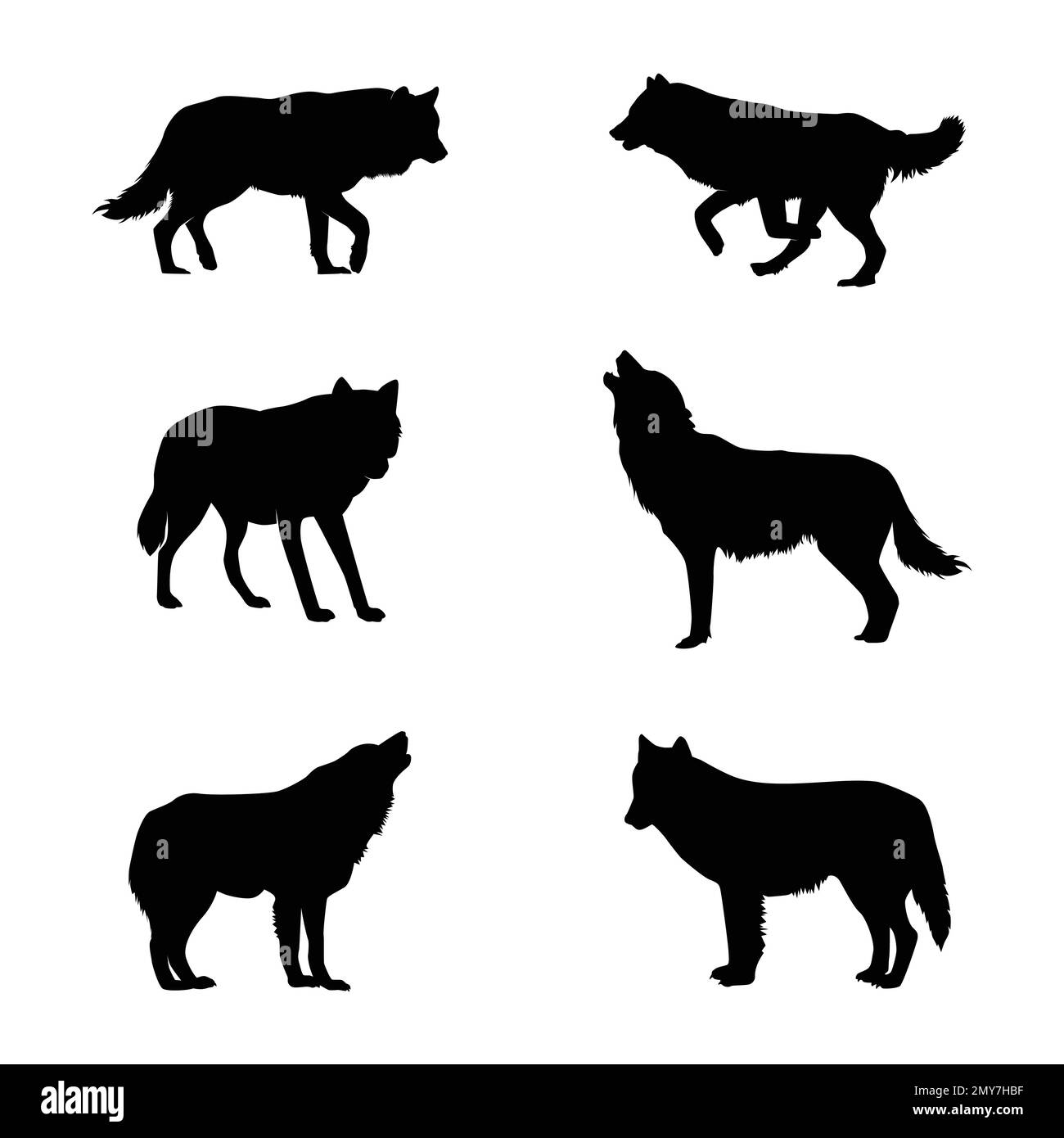 Vector illustration of Wolf silhouette on white background Stock Vector ...