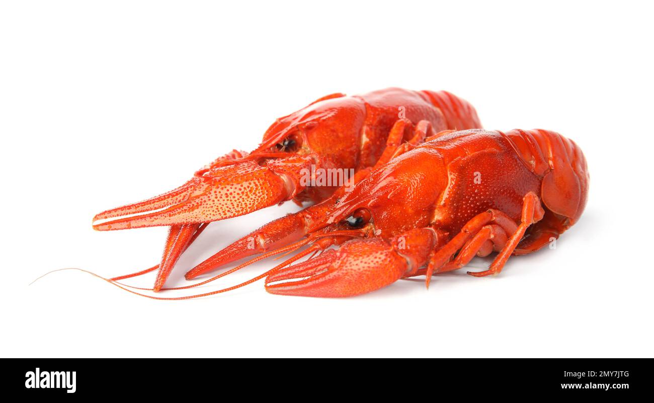 Fresh delicious boiled crayfish isolated on white Stock Photo - Alamy