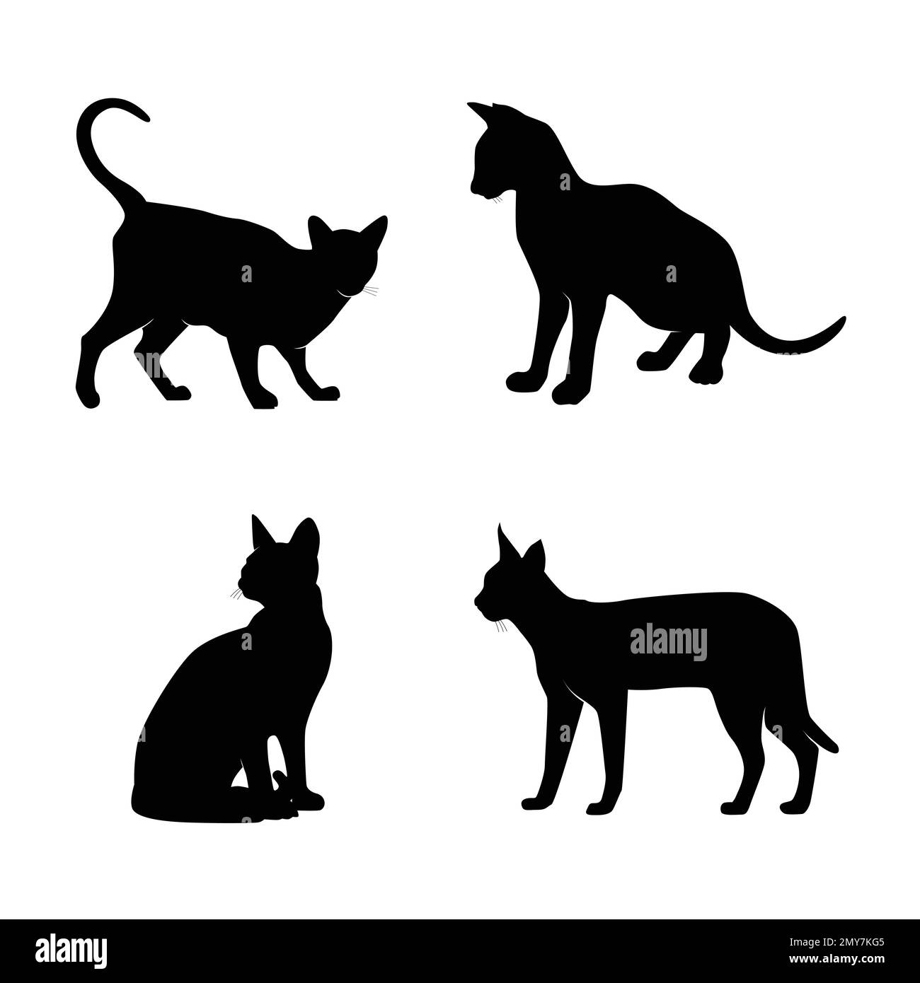 Set of cats Silhouettes on a white background Stock Vector Image & Art ...