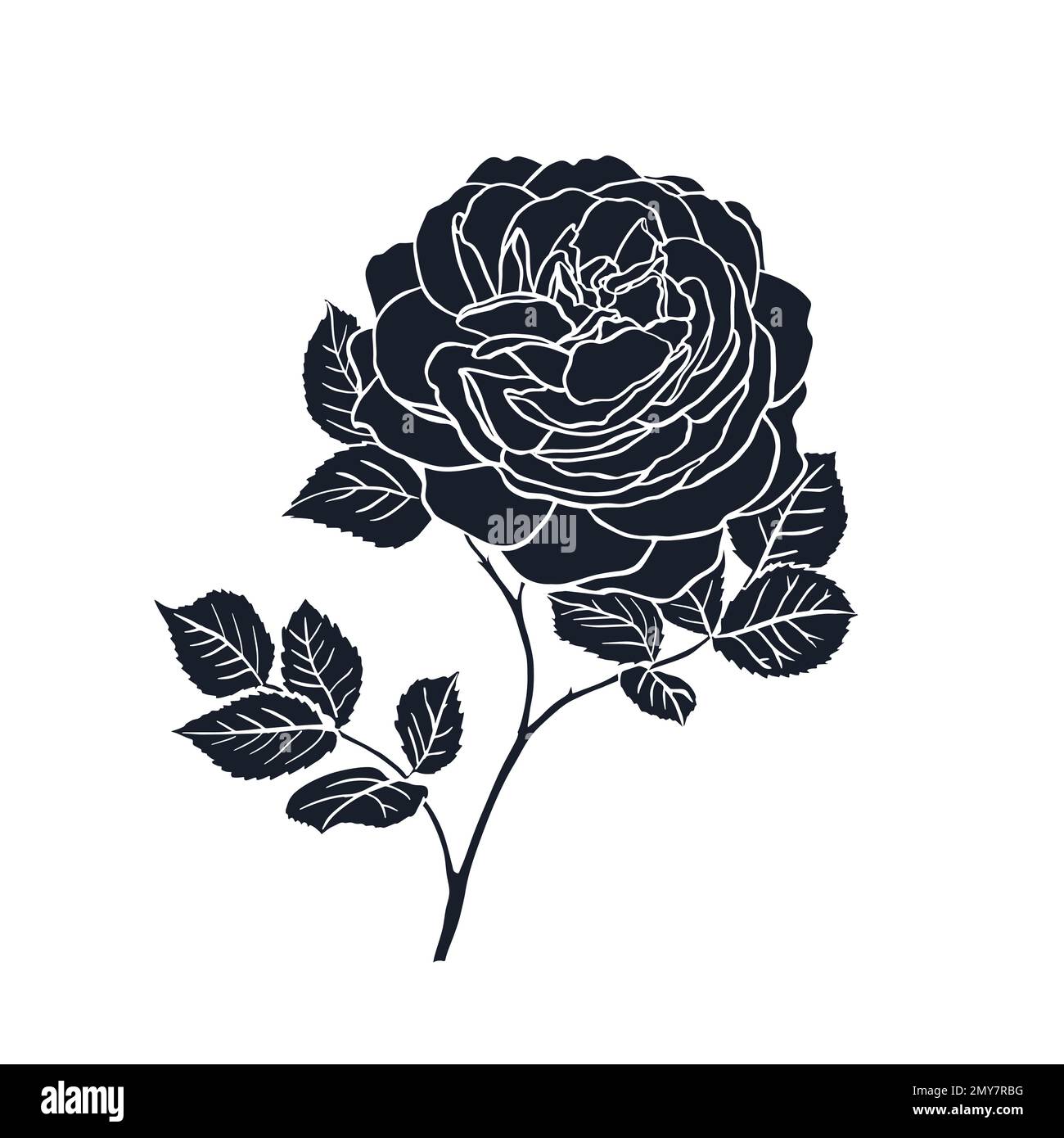 Rose buds vector silhouettes. Flowers design elements. Monochrome rose ...