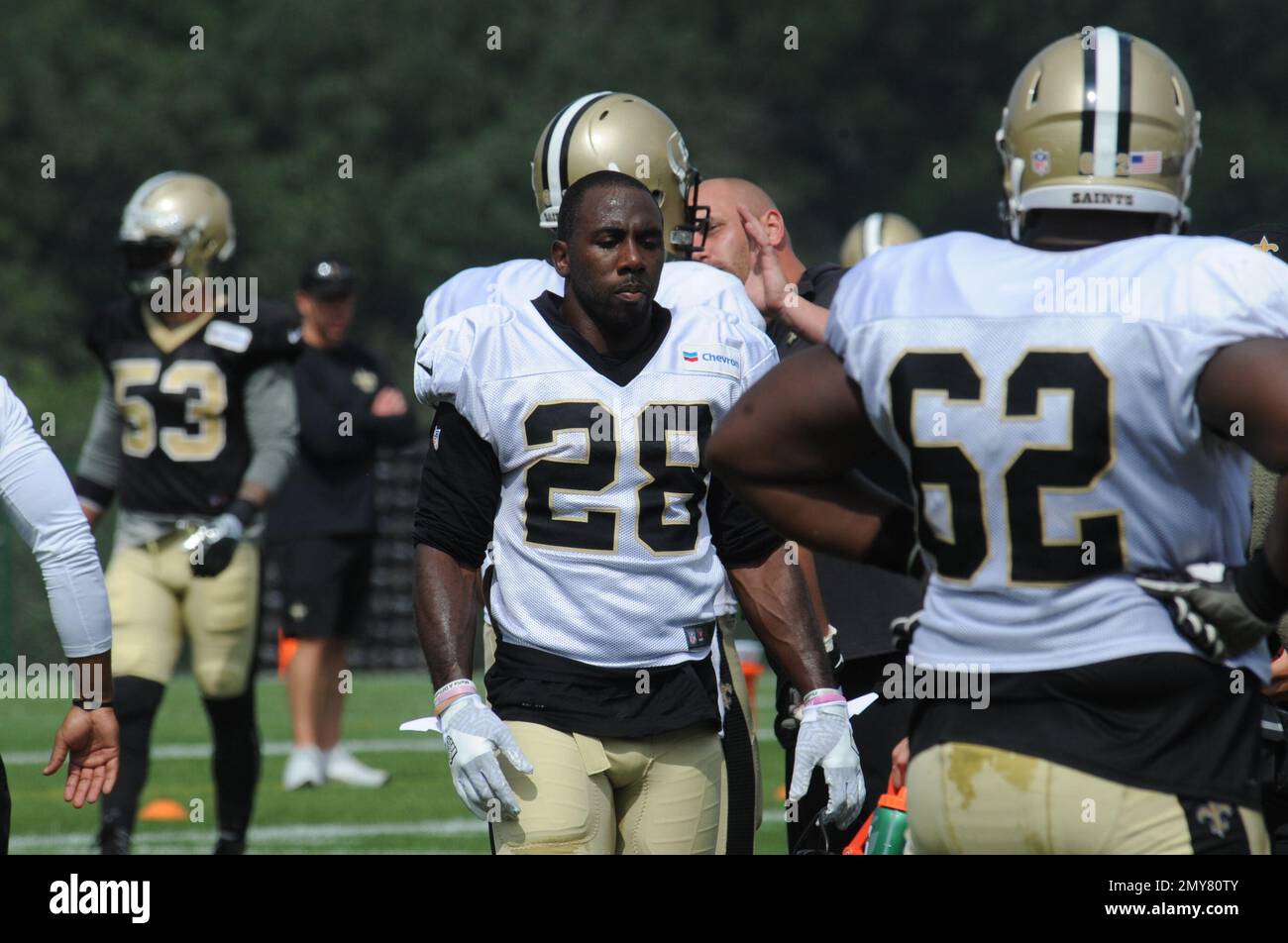 New Orleans Saints running back C.J. Spiller (28) during the NFL ...