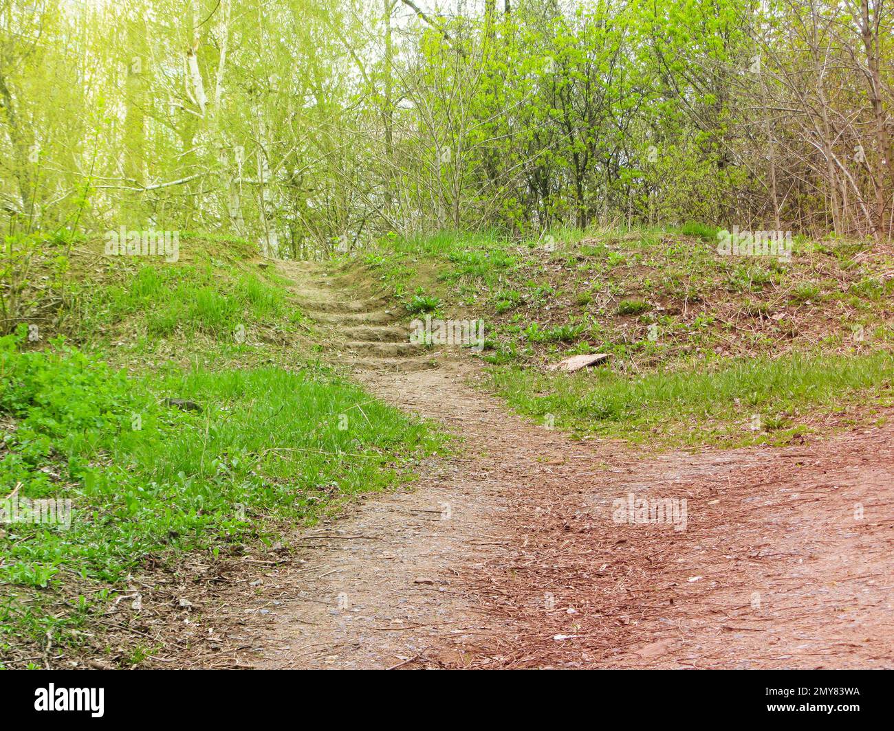 Autumn backdrop stairs sky. amazing mysterious road steps leads ...