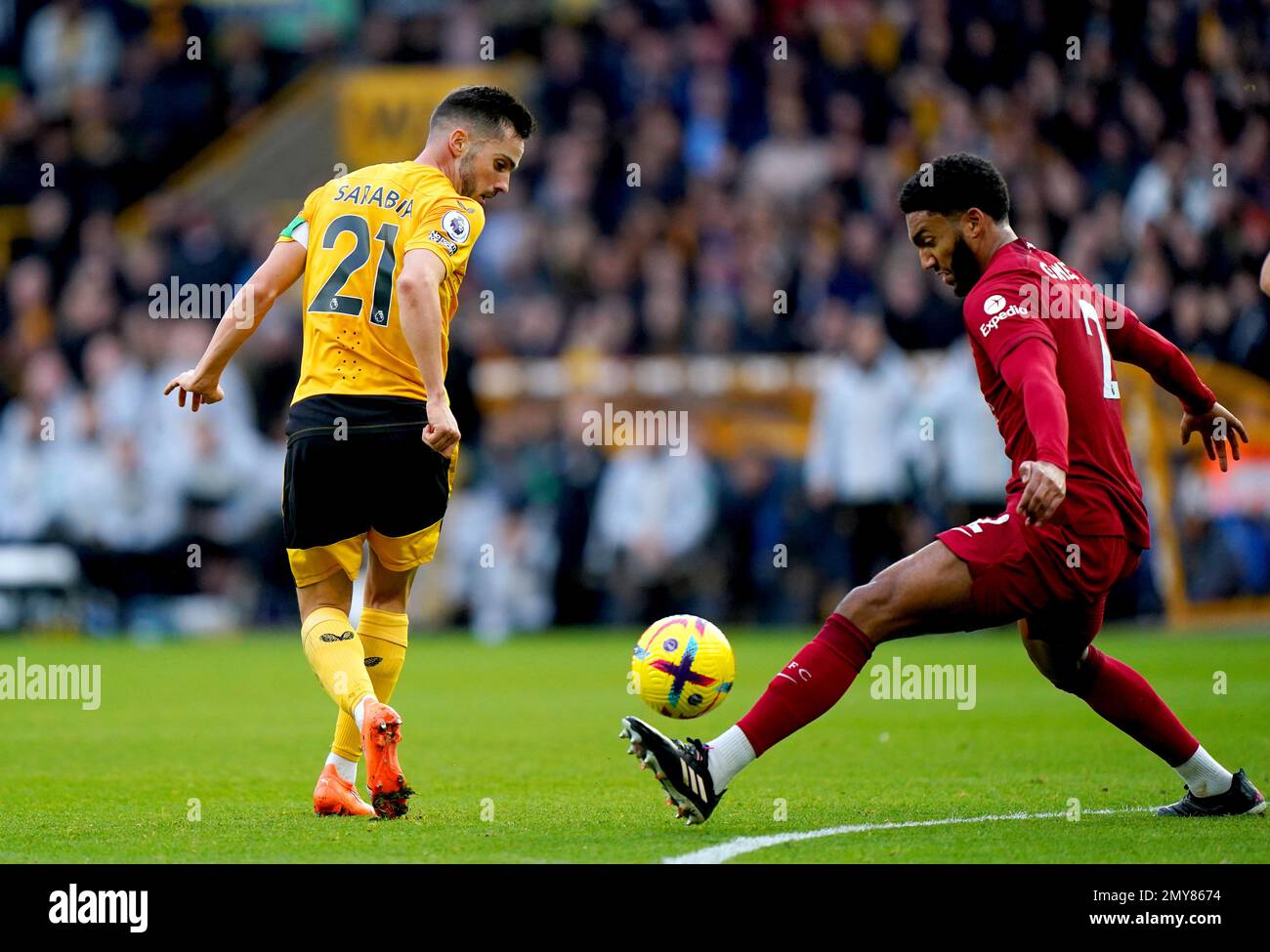 Pablo sarabia wolves hi-res stock photography and images - Alamy