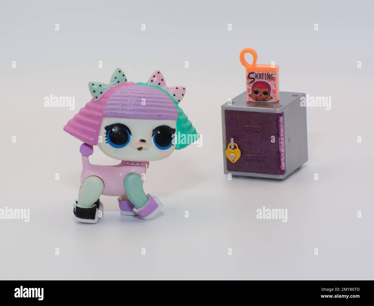 A LOL surprise color change pet doll and its accessories on a white ...