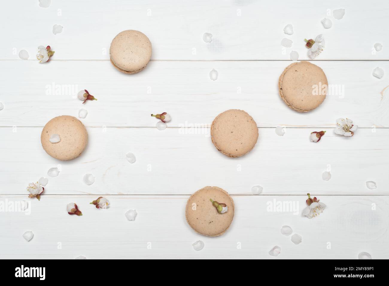 Beige macaroon cookies on a white wooden background. Spring flowers of ...