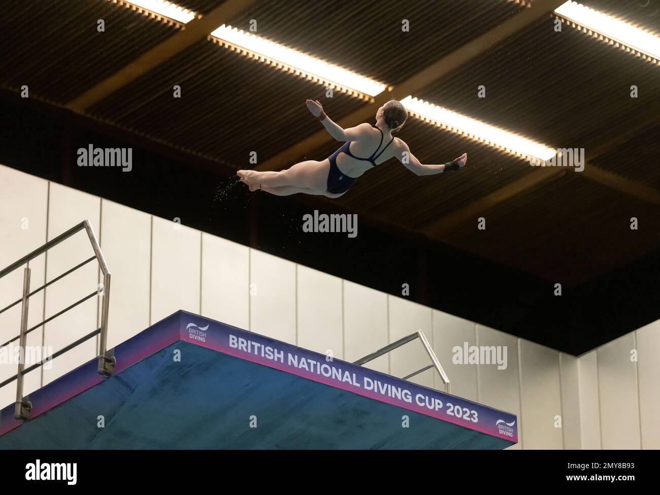 Hannah Newbrook in action during the Women’s Platform Final on day ...