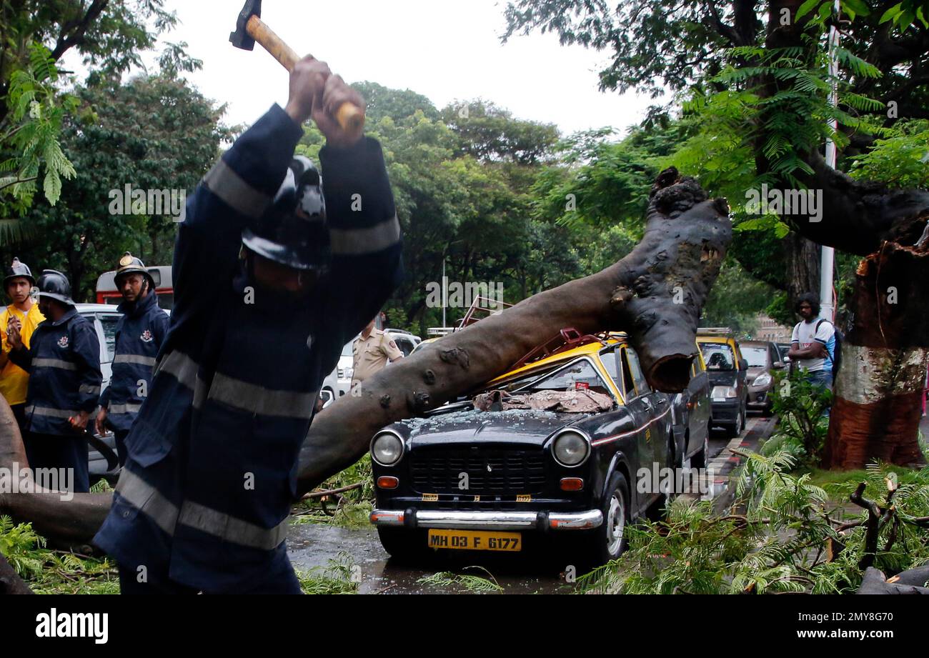 A fire force officer tries to clear the debris of a tree that fell ...