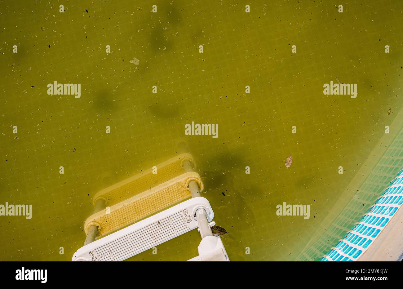 Green yellow water in swimming pool,problem service concept.Dirty ...