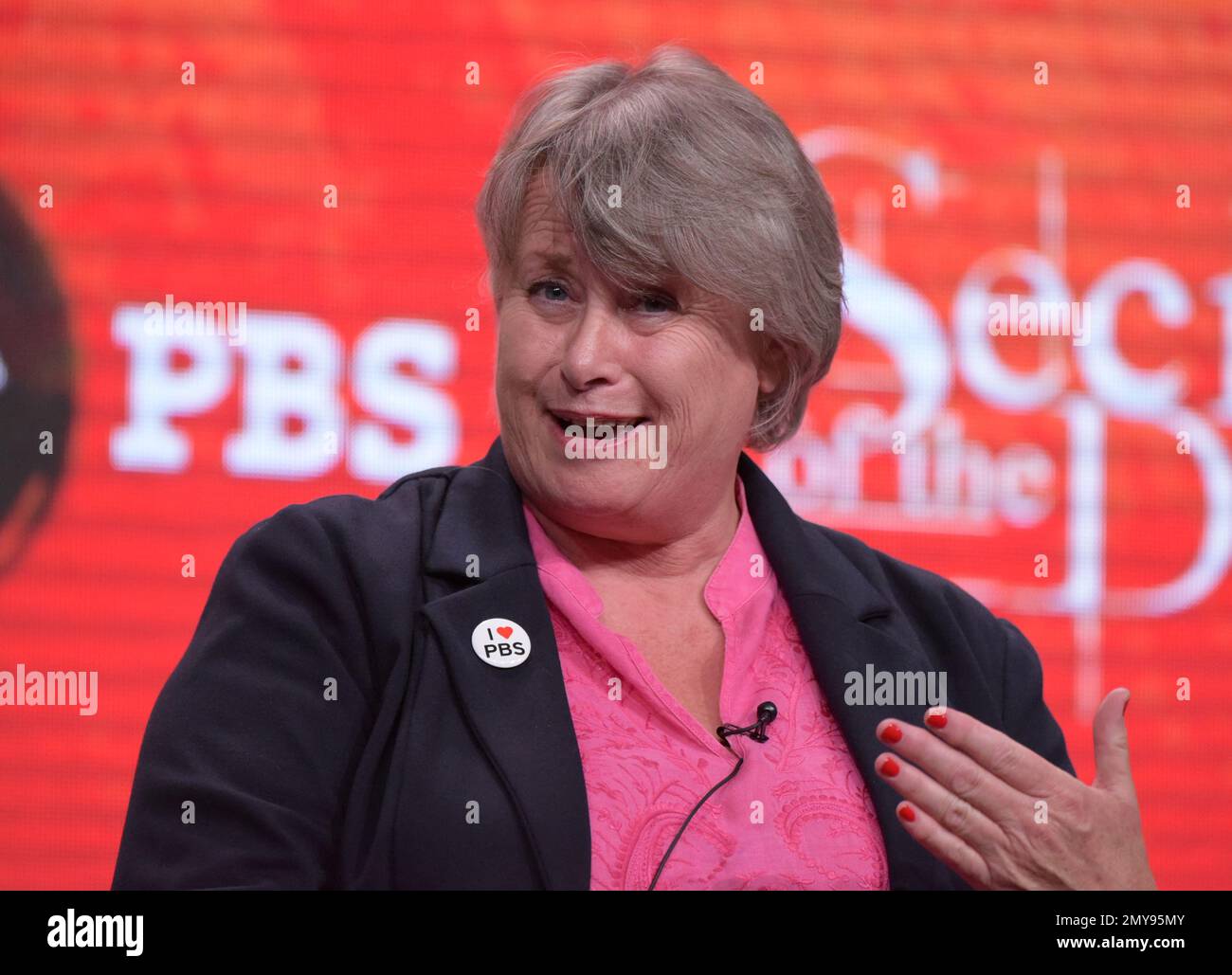 Author Bernadette Murphy participates in "Secrets of The Dead's" "Van ...