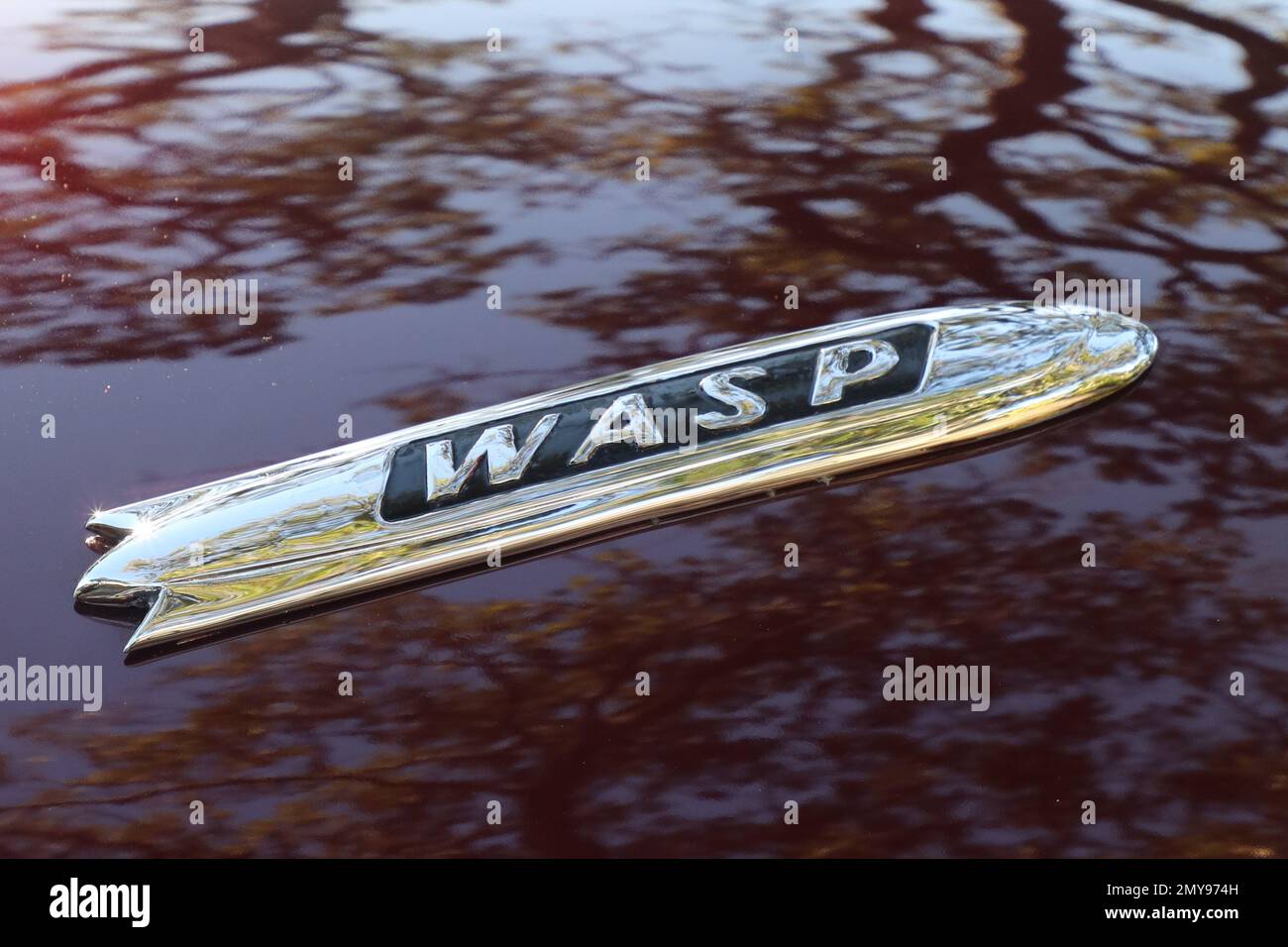 Hudson wasp hi-res stock photography and images - Alamy