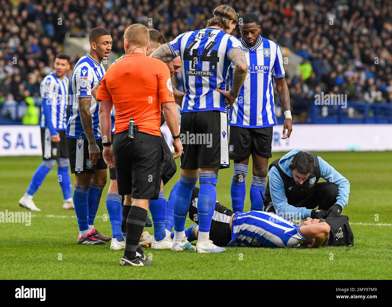 Sheffield Wednesday forward Callum Paterson (13) is injured and ...