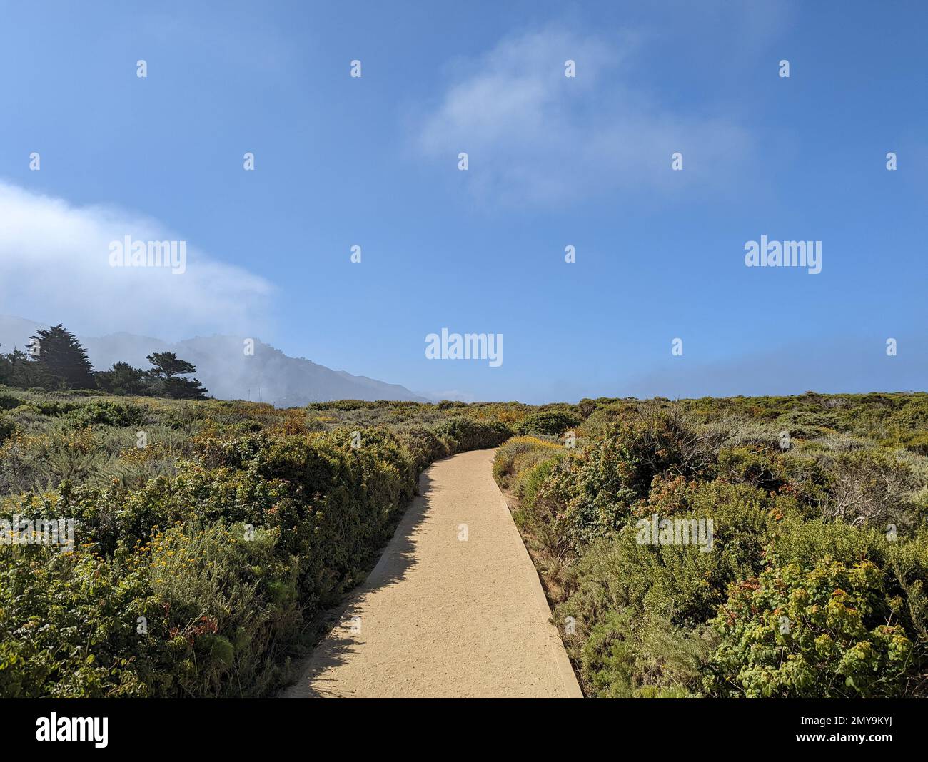 A narrow path in a field on a sunny day Stock Photo - Alamy