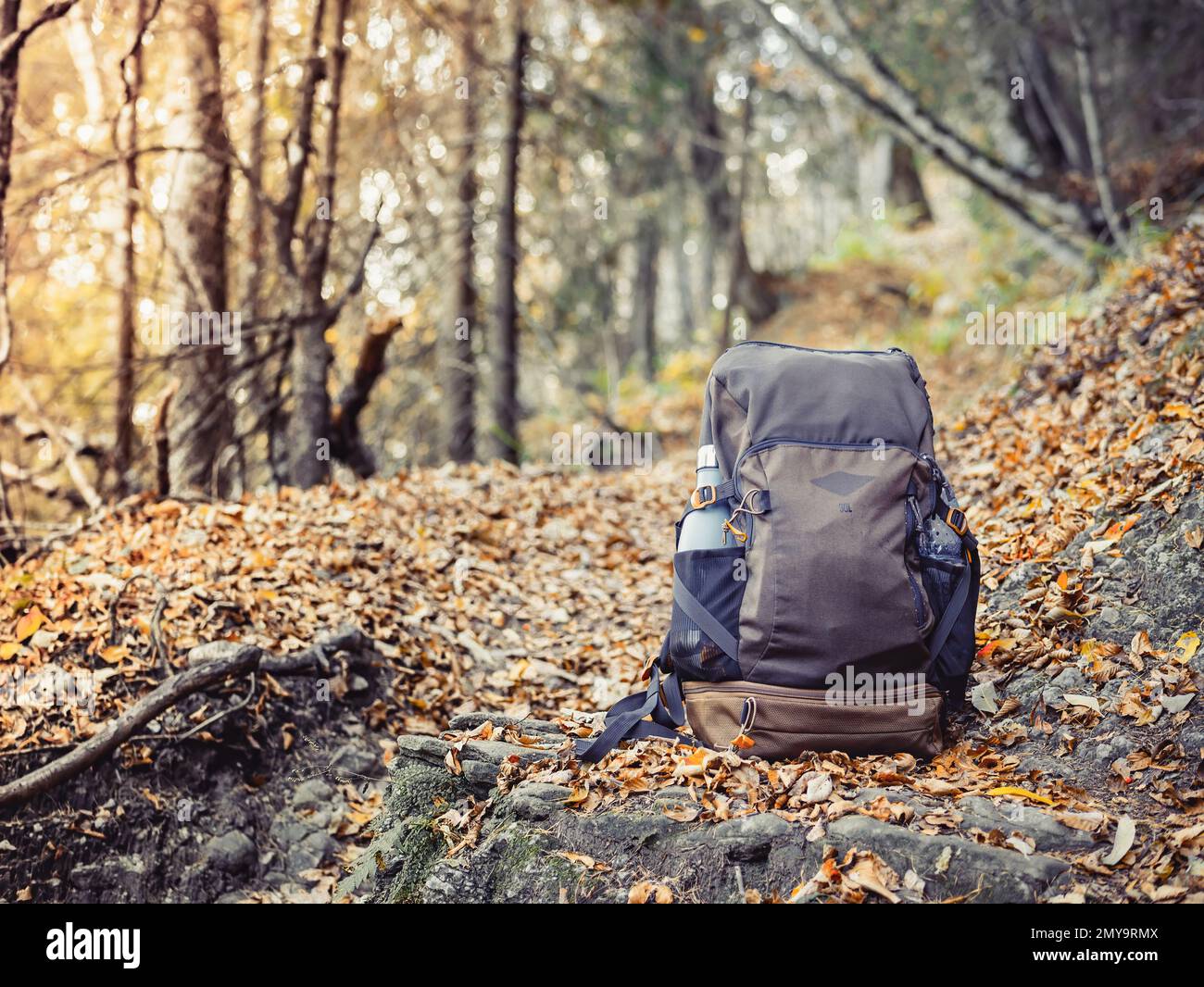 Outdoor backpack next to a tree trunk with green moss in the forest ...