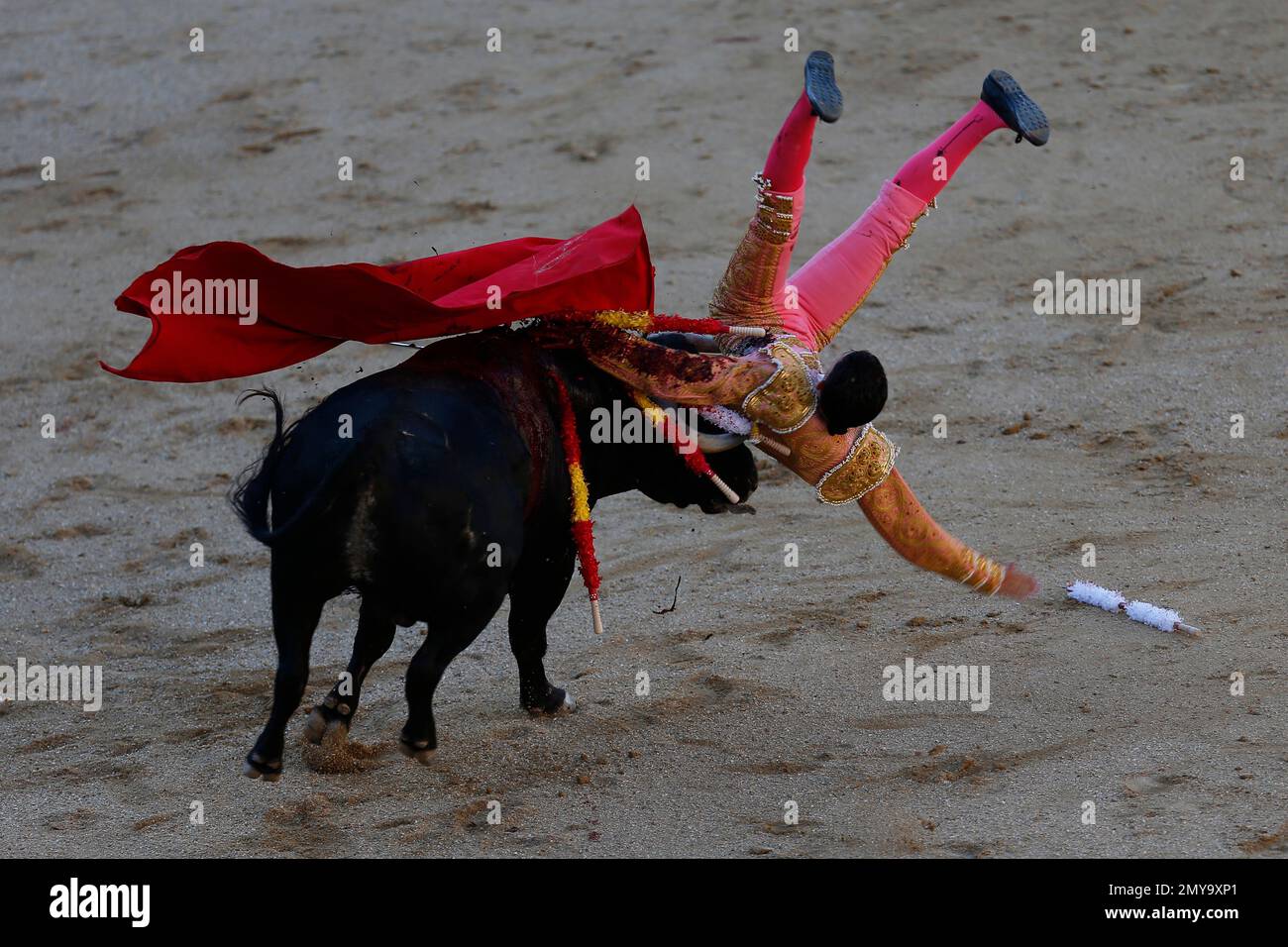 Spanish bullfighter Pablo Belando is gored by an Arauz de Robles ranch ...