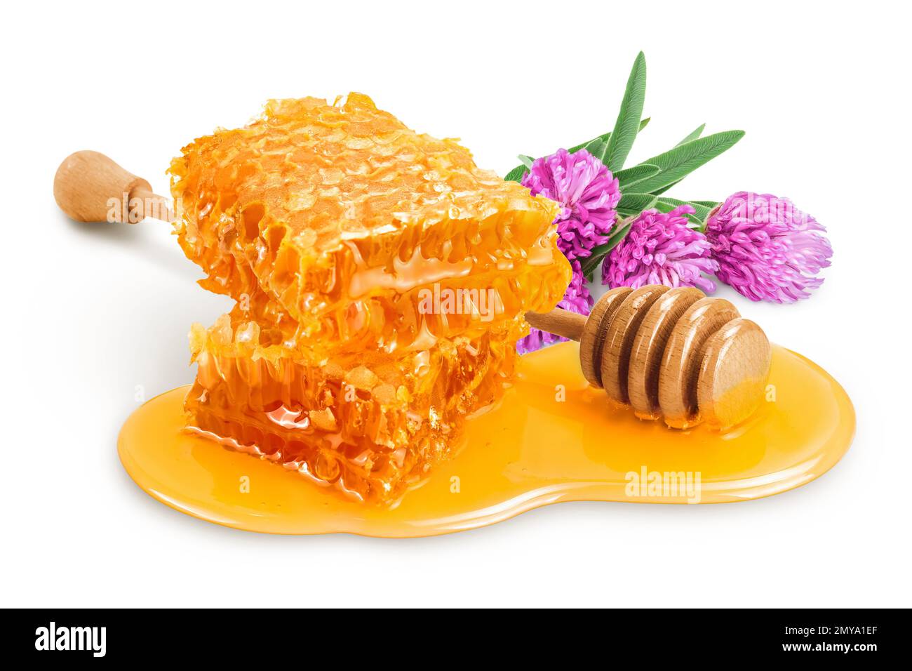 Honeycombs and honey puddle with clover flower isolated on white ...
