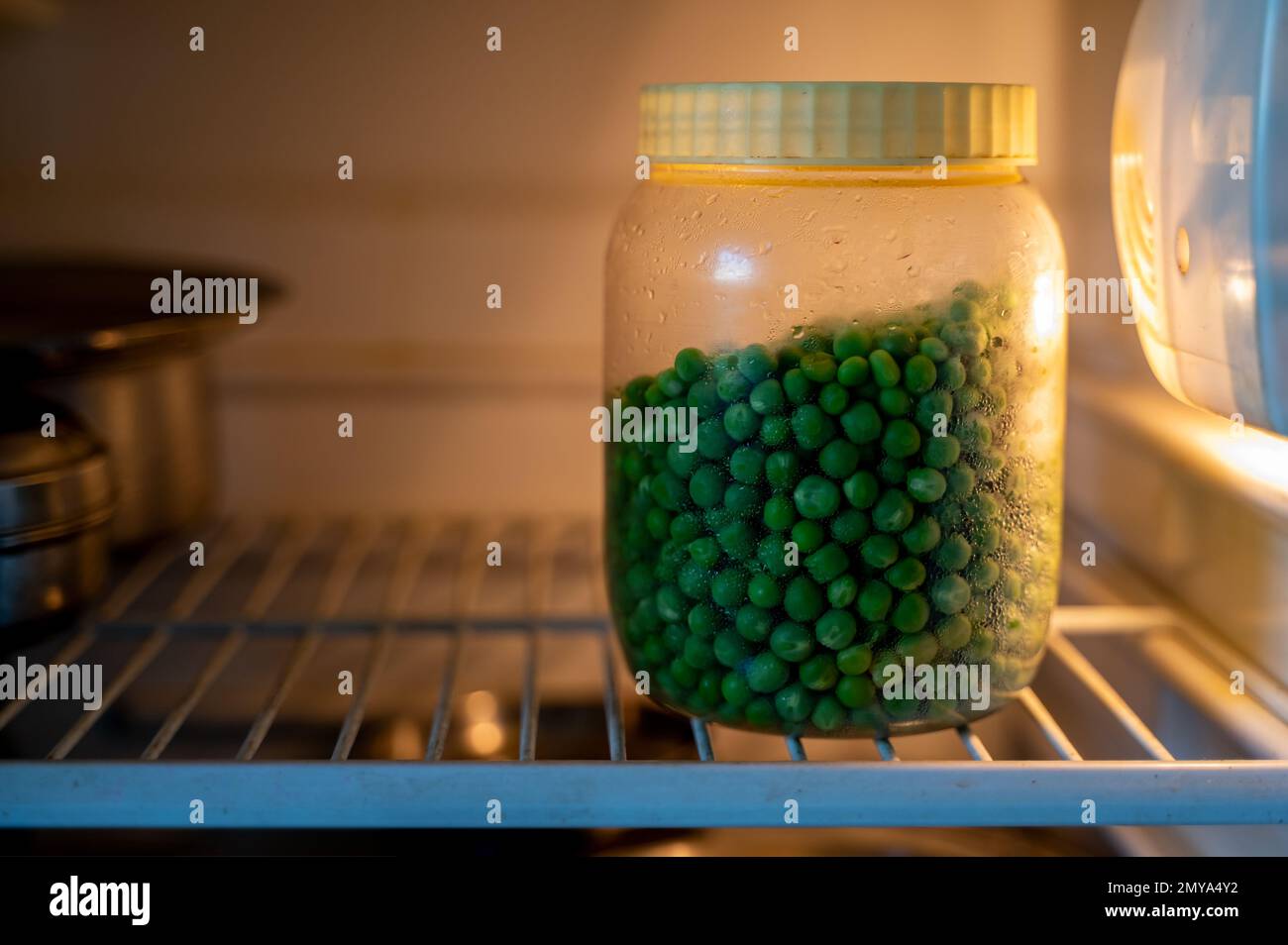Peeled Peanuts kept in plastic tin and it stored in refrigerator to ...