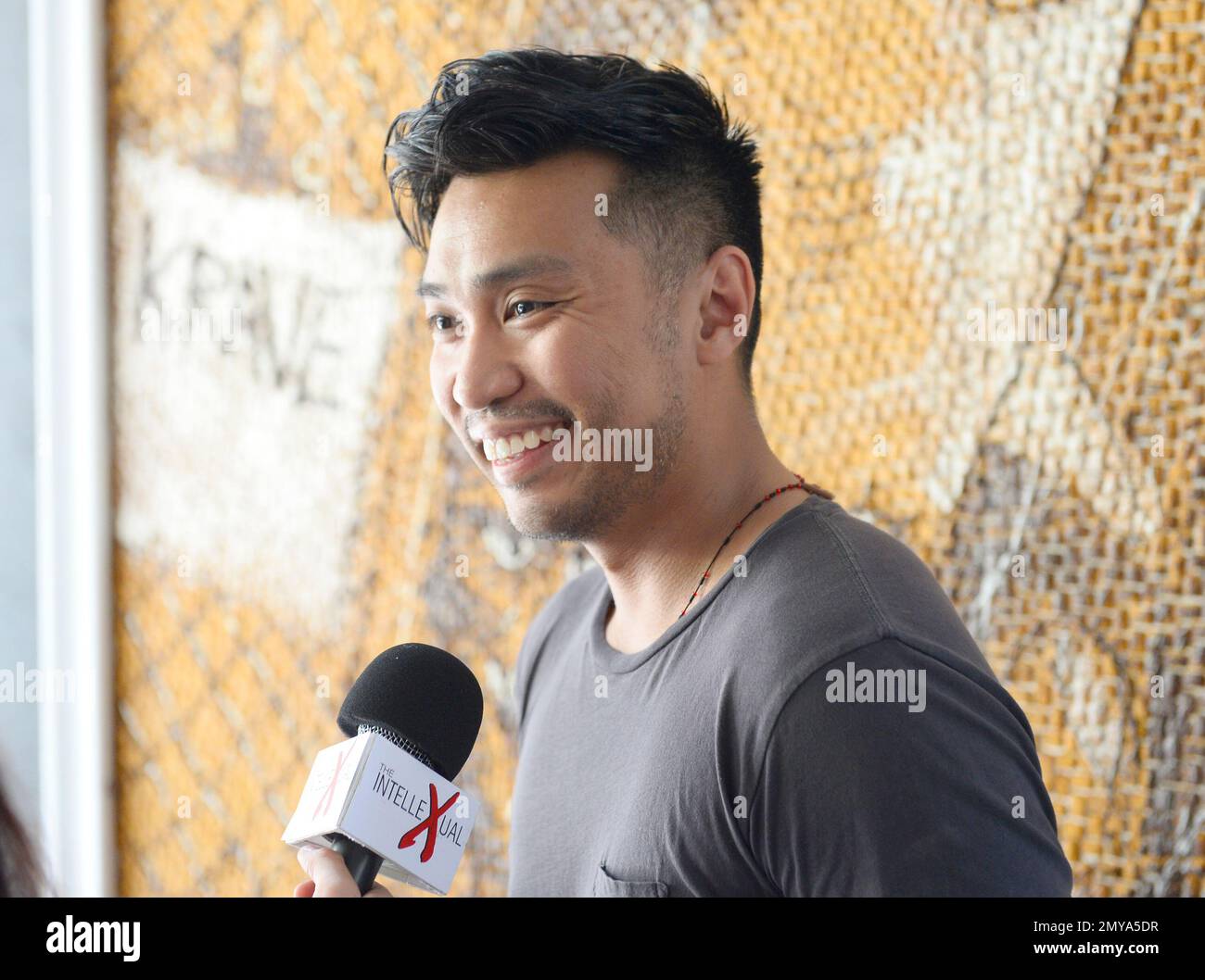 Comic illustrator Francis Manapul participates in an interview at the ...