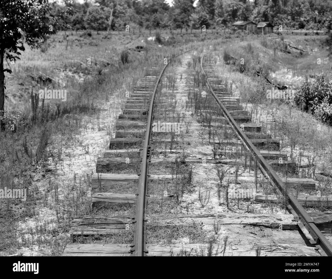 Railroad lumber hi-res stock photography and images - Alamy
