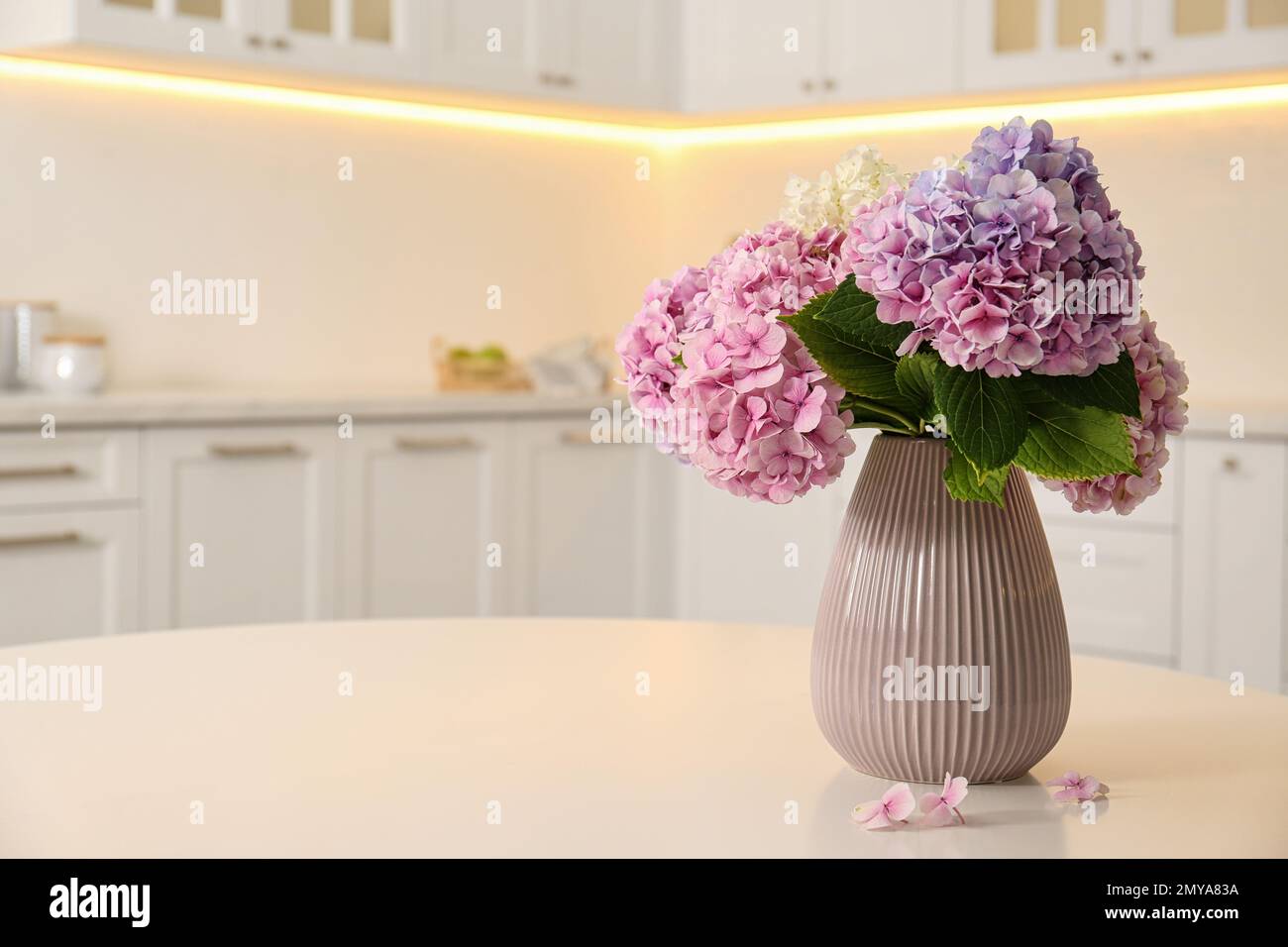 Bouquet of beautiful hydrangea flowers on table in kitchen, space for ...