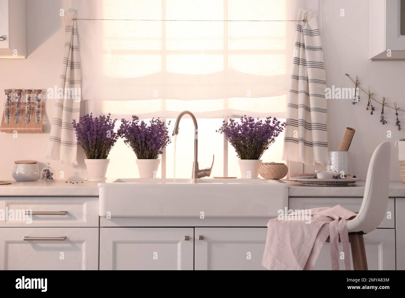 Beautiful lavender flowers on countertop near sink in kitchen Stock ...