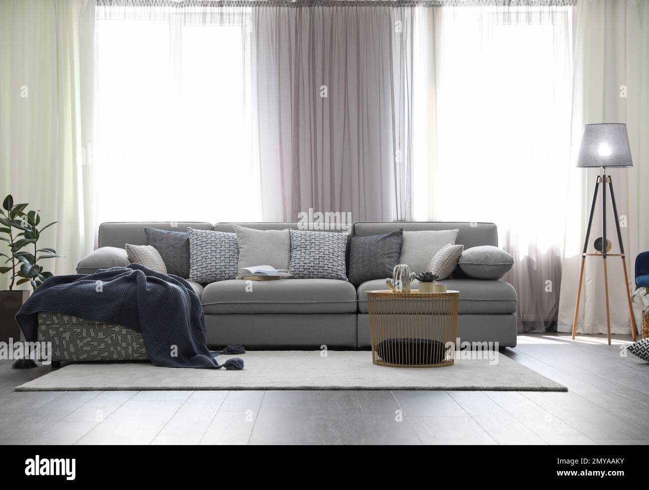 Elegant living room with comfortable sofa near windows. Interior design ...