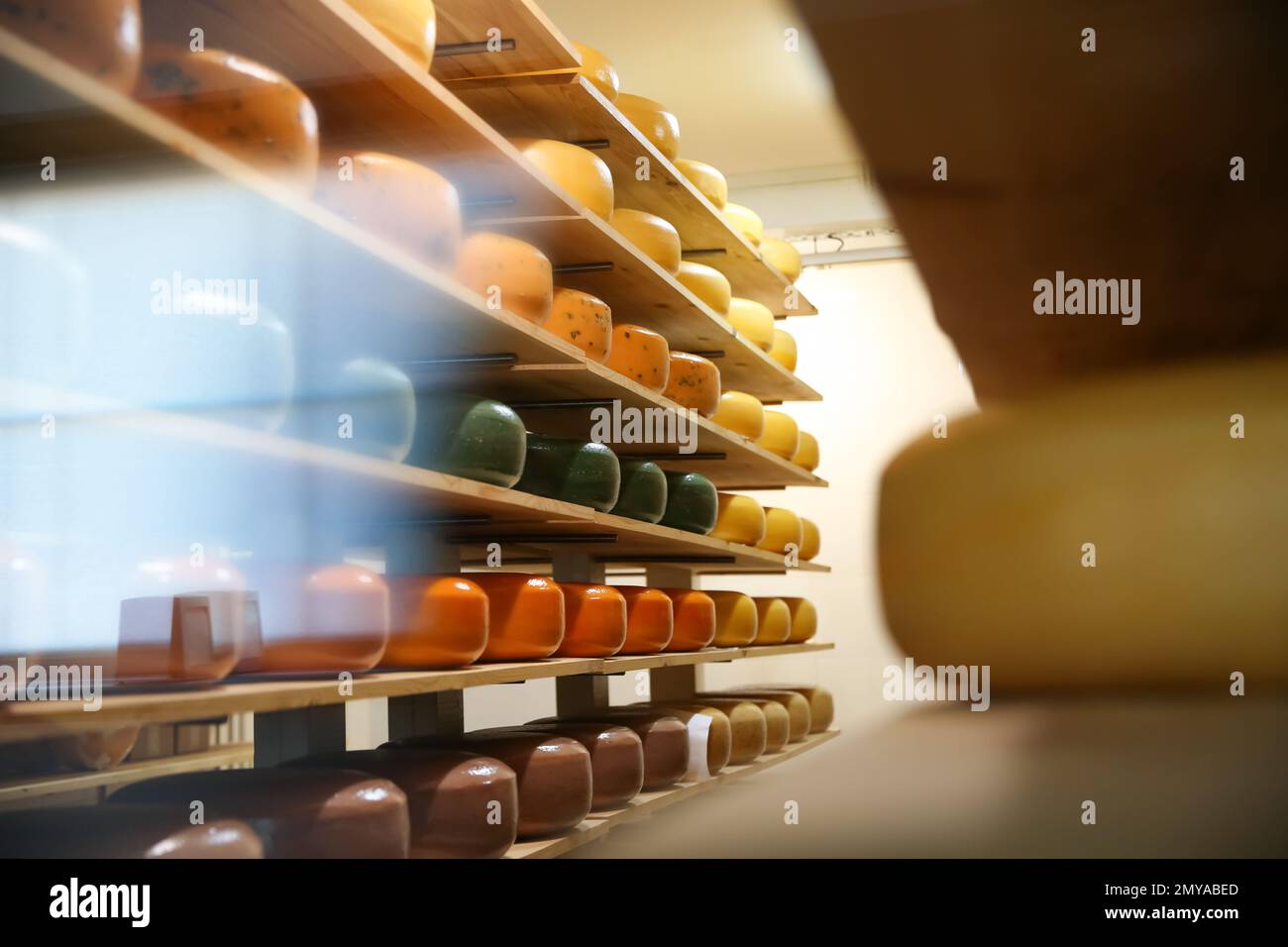 Fresh cheese heads on rack in factory warehouse Stock Photo - Alamy
