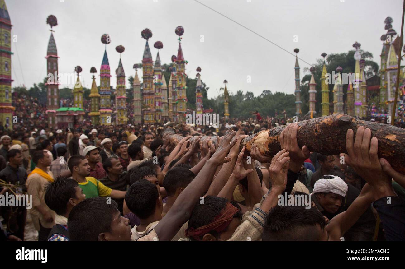 Indian Pnar or Jaintia tribesmen carry a sacred tree during ...