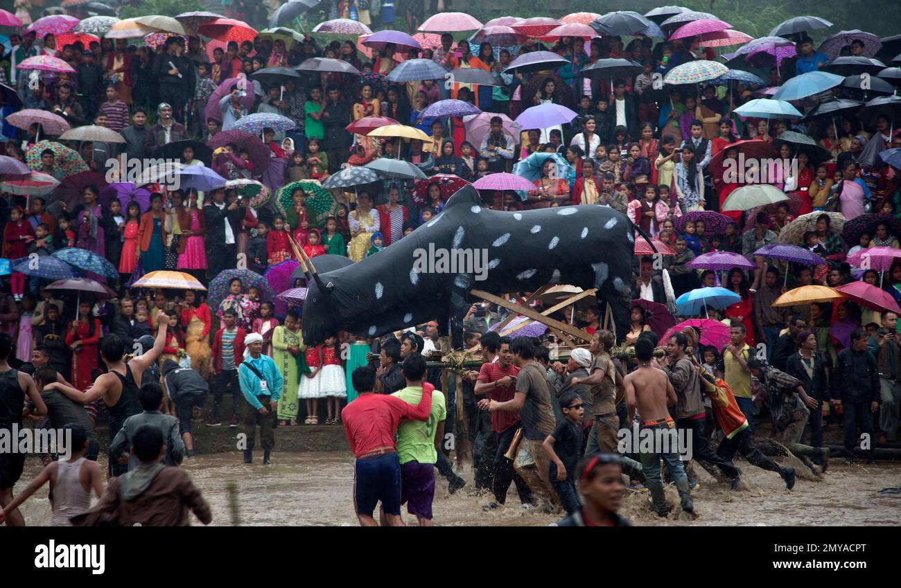 Indian Pnar or Jaintia tribesmen carry a float depicting a bull, for ...