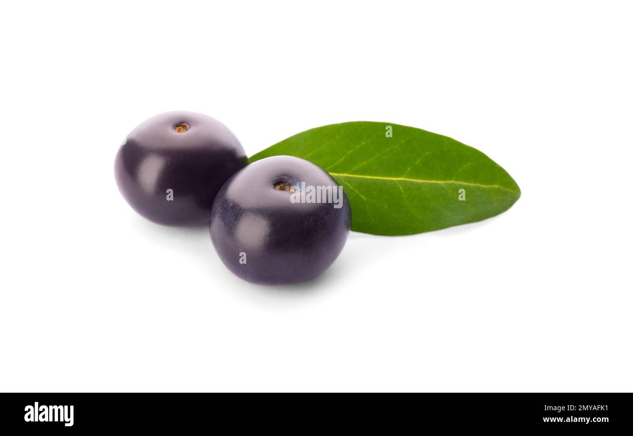 Fresh acai berries with leaf isolated on white Stock Photo - Alamy
