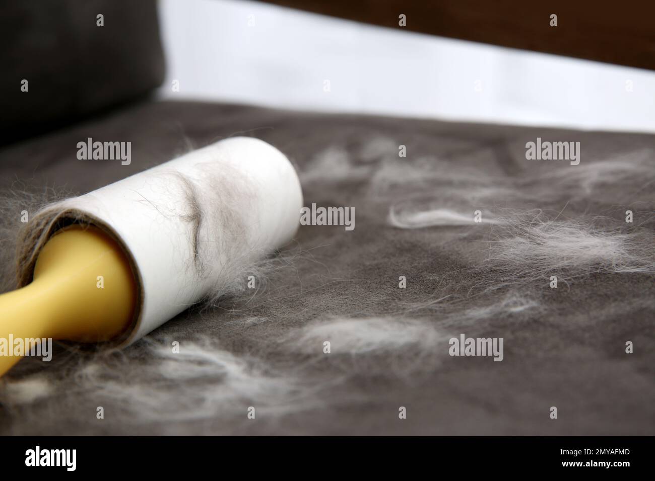 Modern lint roller and cat hair on brown fabric, closeup Stock Photo ...