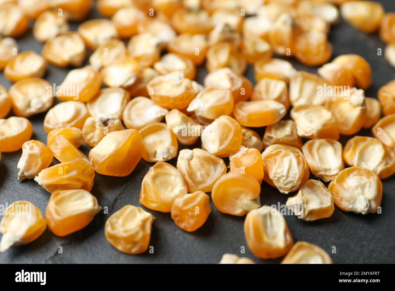 Raw dry corn seeds on grey background, closeup. Vegetable planting ...