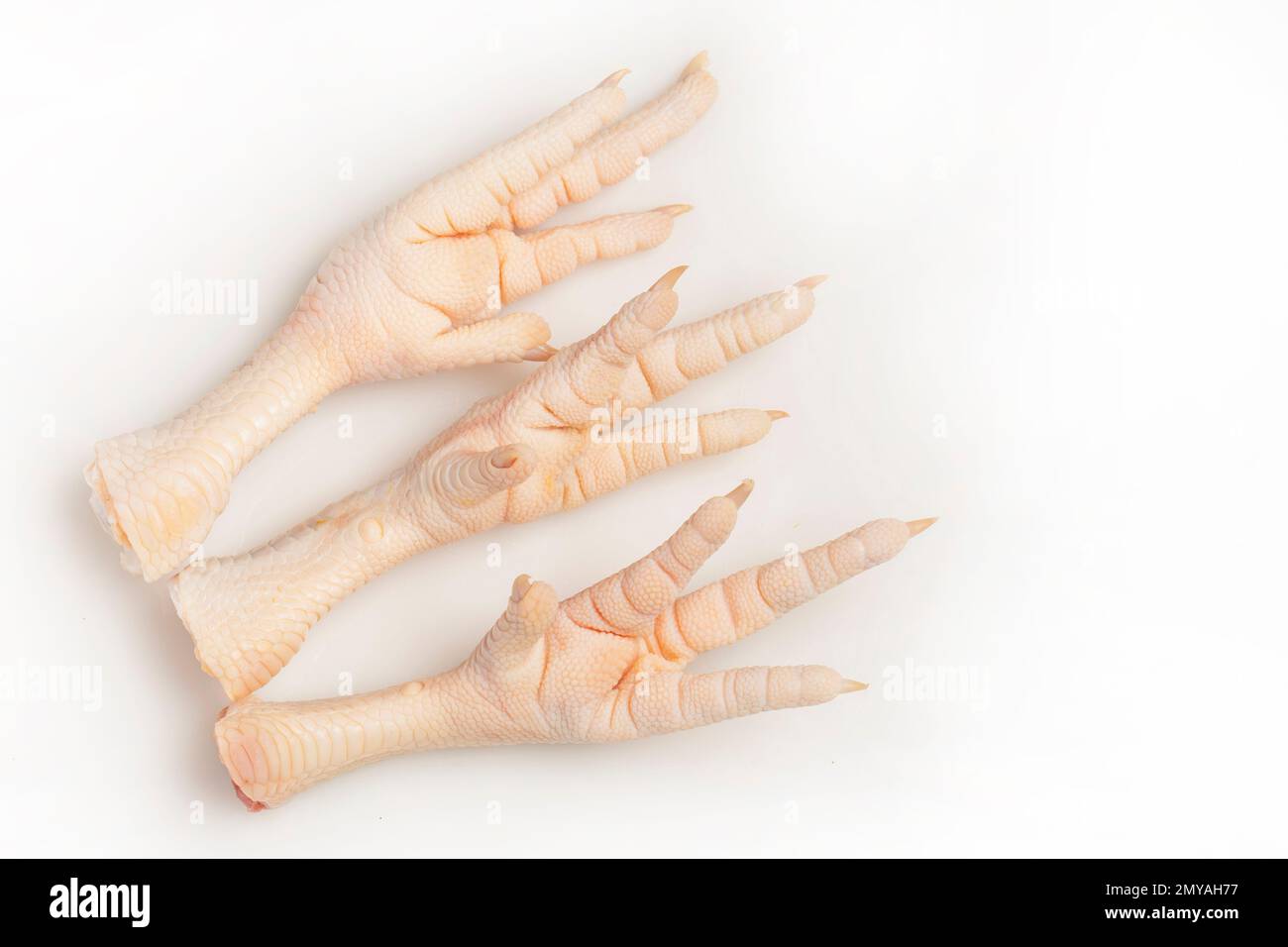 Chicken feet on white background, space for text Stock Photo - Alamy