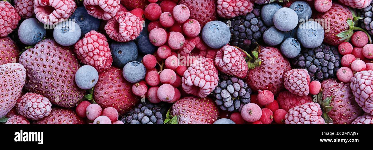 Mix of different frozen berries as background, banner design Stock ...