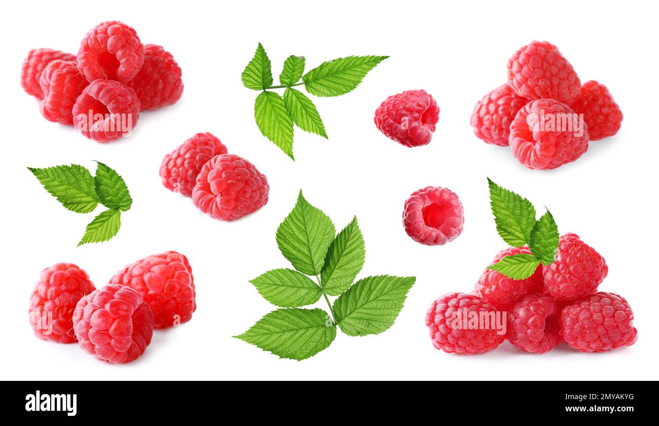 Set of fresh ripe raspberries with green leaves on white background ...