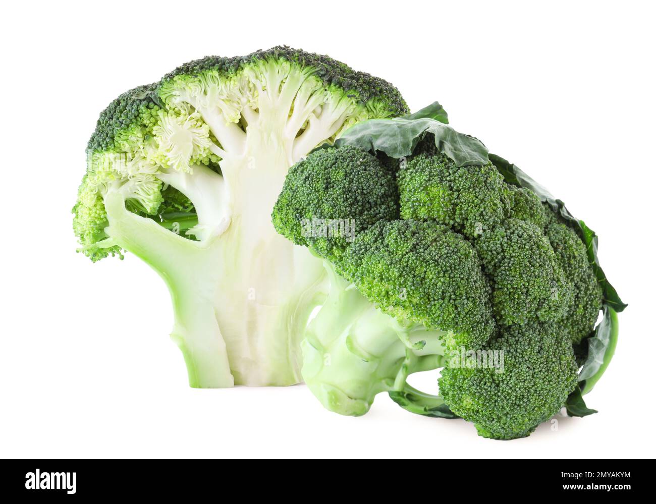 Fresh cut and whole broccoli on white background Stock Photo - Alamy