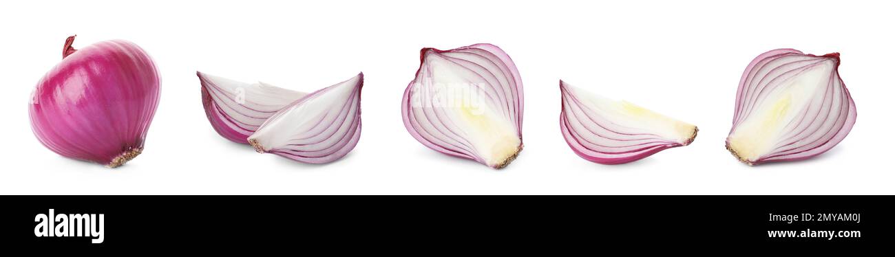 Set of red cut and whole onion on white background. Banner design Stock ...