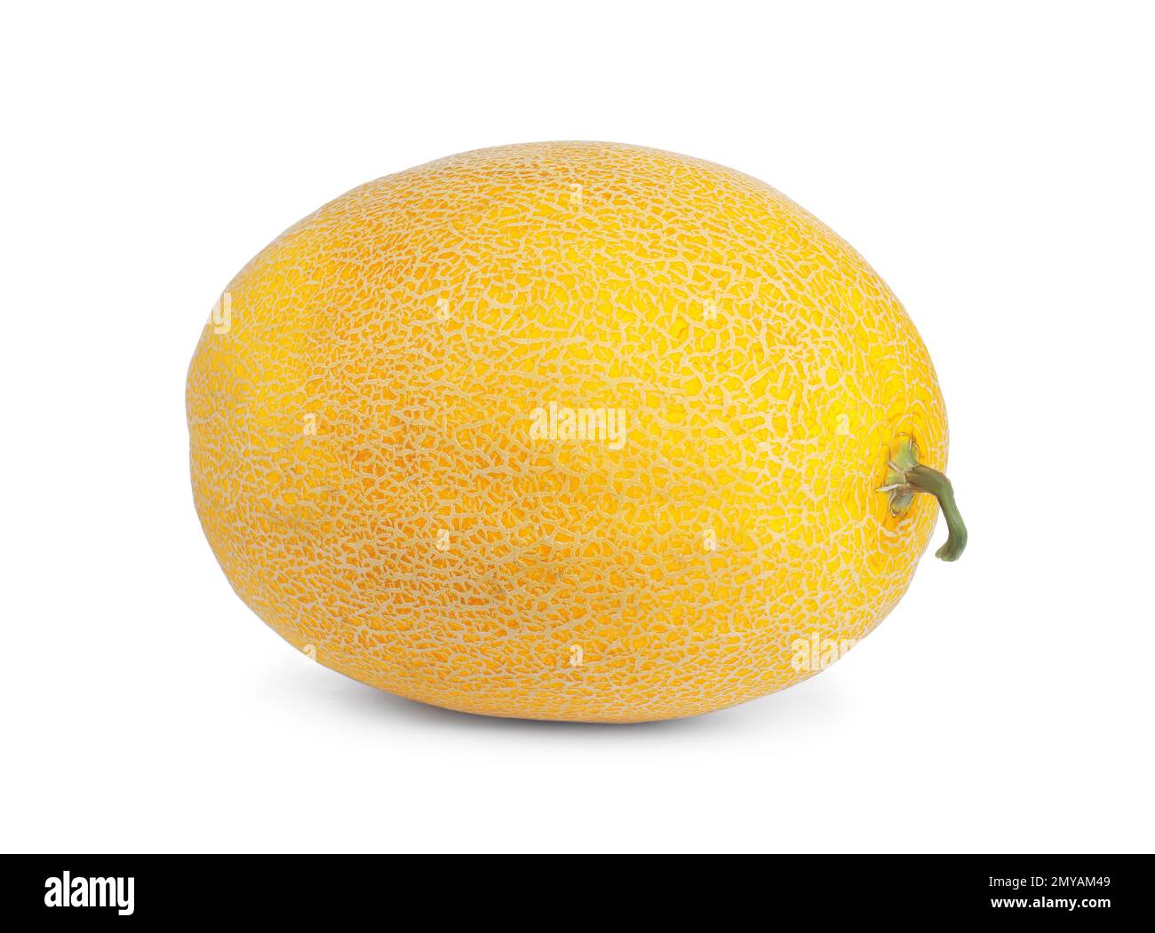 Whole tasty ripe melon isolated on white Stock Photo - Alamy
