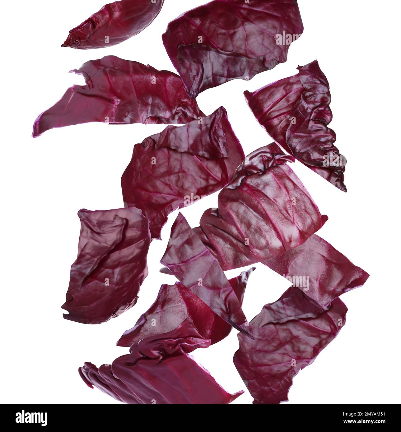 Red cabbage leaves falling on white background Stock Photo - Alamy