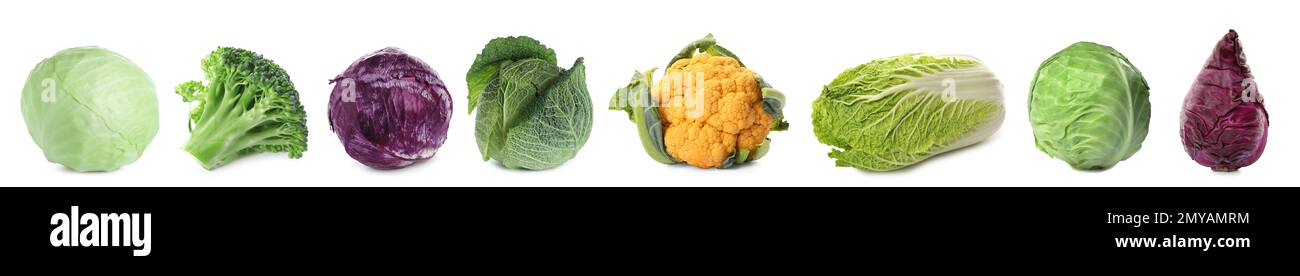 Set with assortment of cabbages on white background. Banner design ...