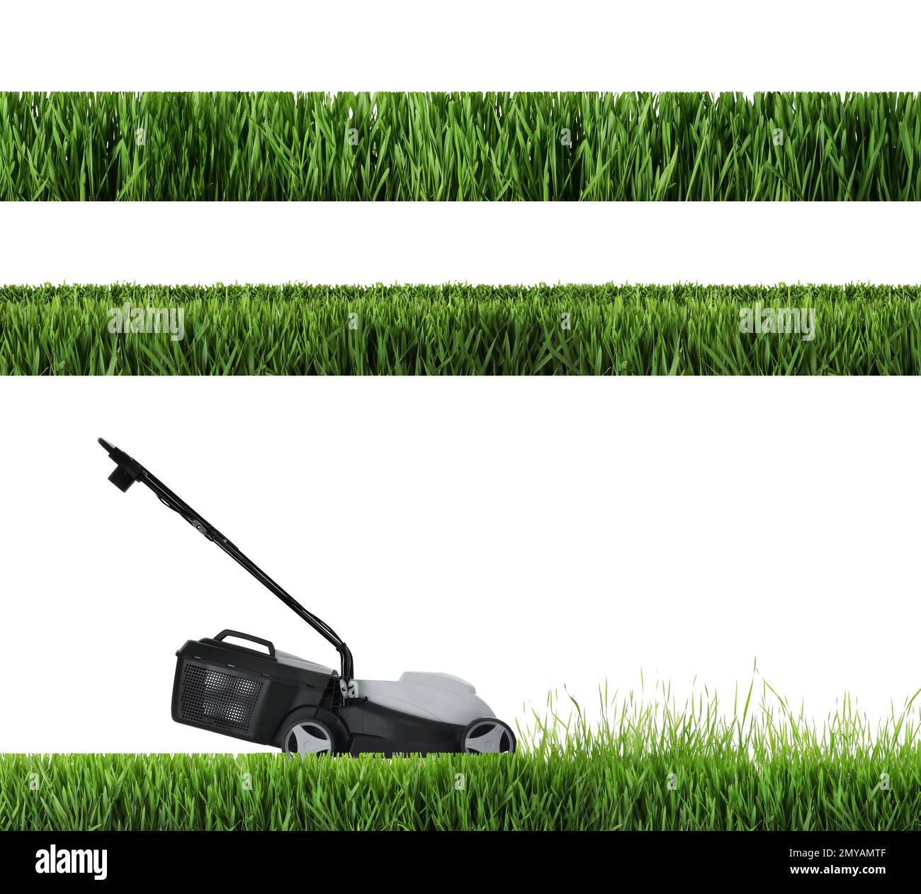 Modern garden lawn mower cutting green grass, white background Stock ...