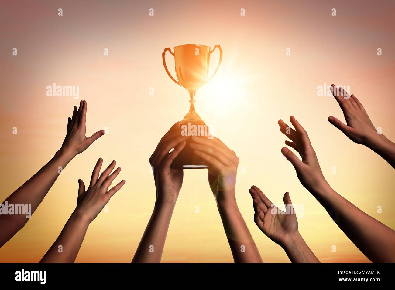 Winning team with gold trophy cup against shining sun in sky Stock ...