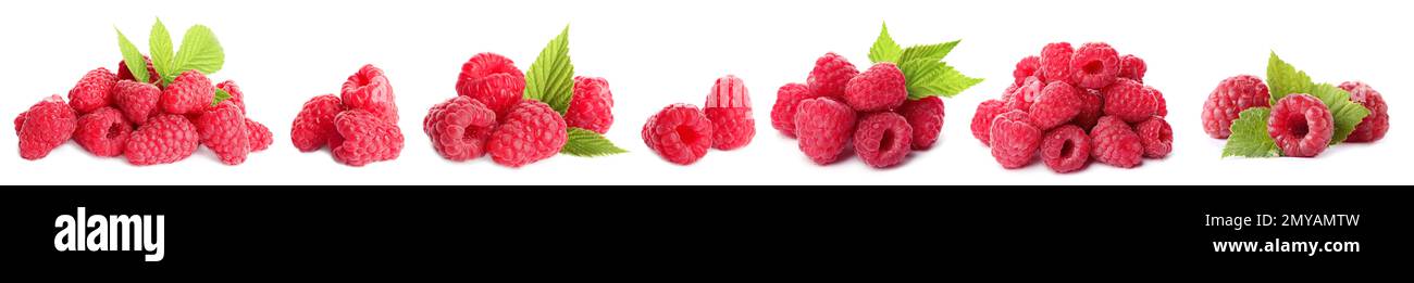 Set of fresh ripe raspberries with green leaves on white background ...