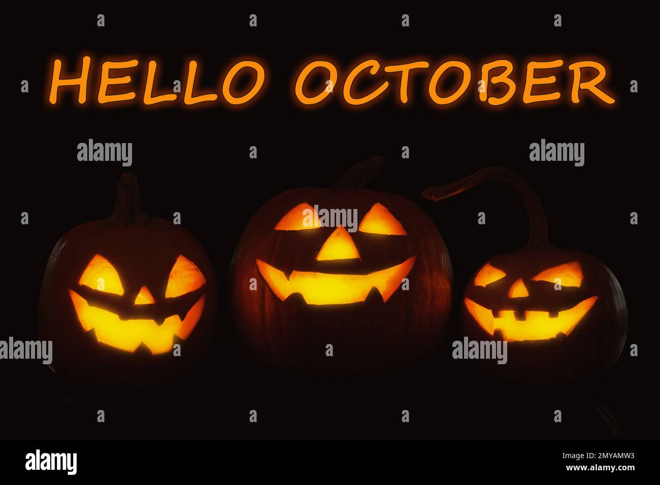 Heads of pumpkin hi-res stock photography and images - Alamy