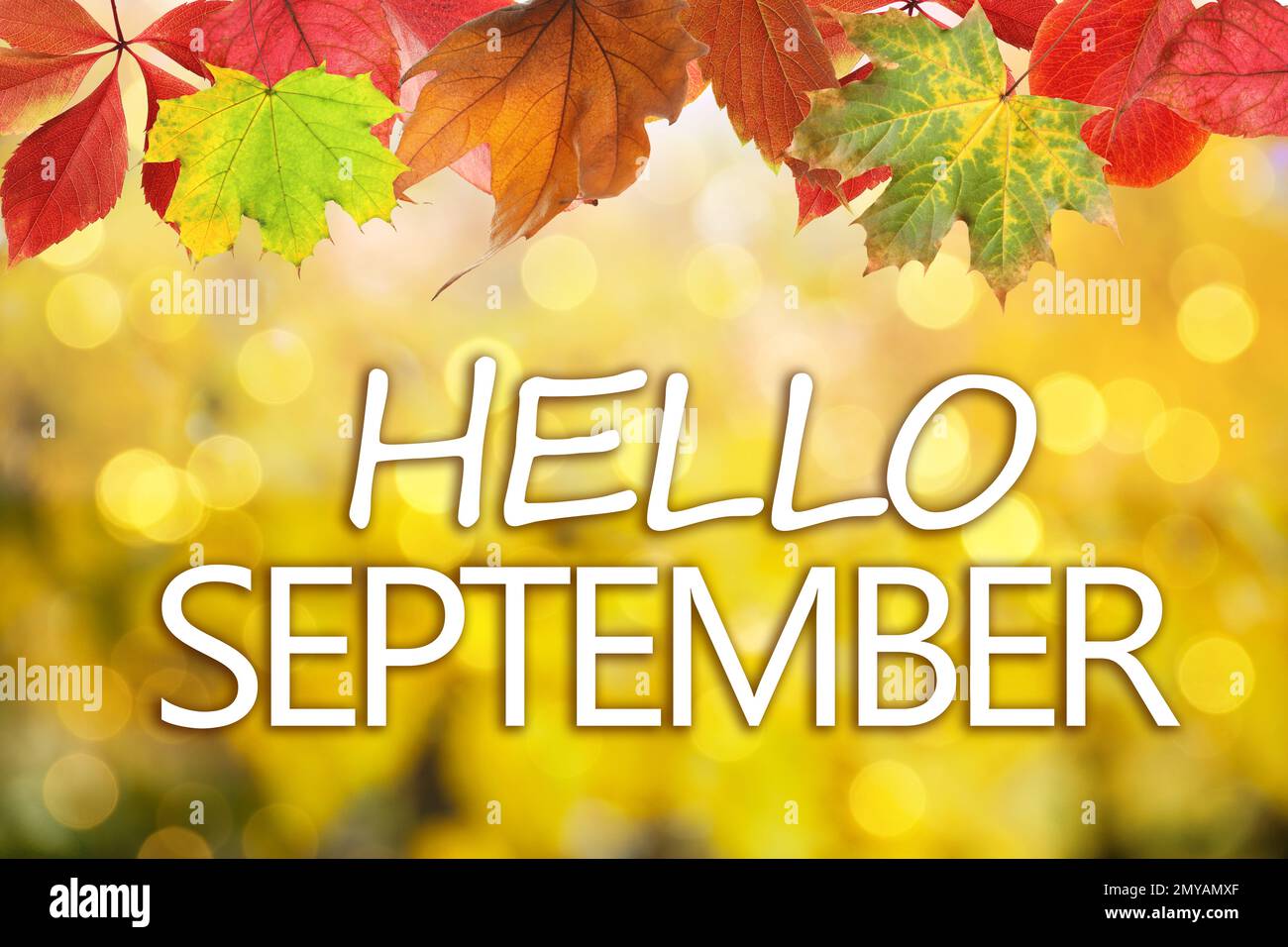 Hello September Wallpaper
