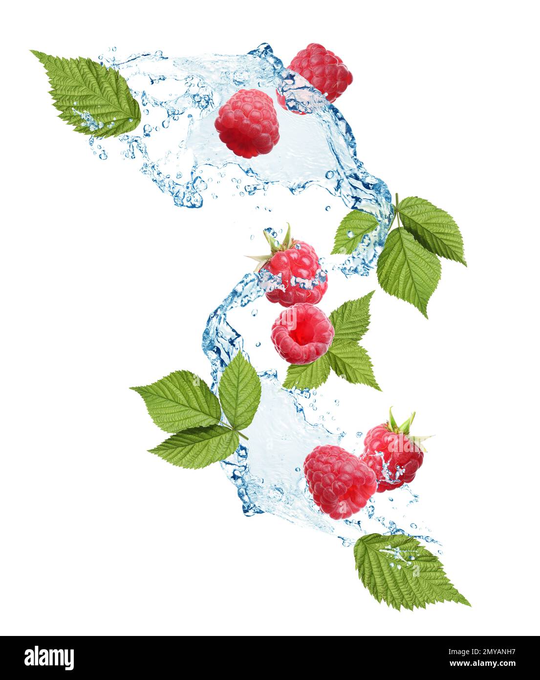 Fresh ripe raspberries with green leaves and water splash on white ...
